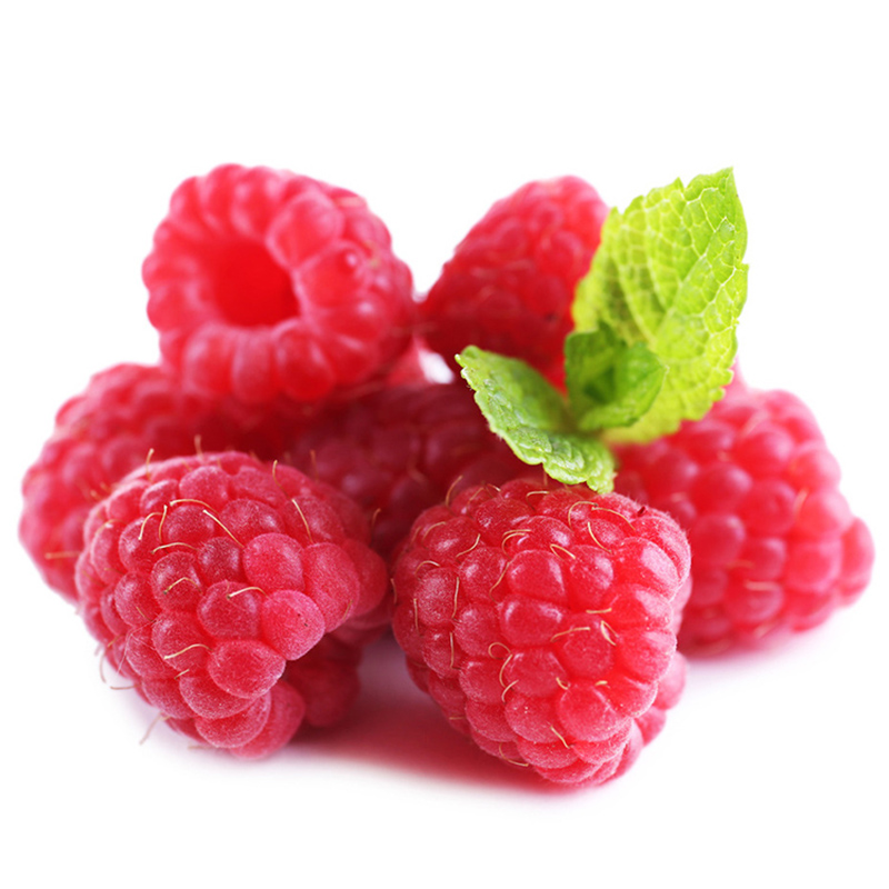 2000 RED RASPBERRY Seeds Rubus Idaeus Bush Fruit Seeds V5C0 | eBay