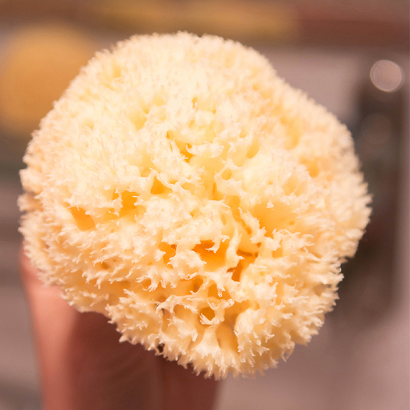 Natural Super Soft Ocean Sea Sponge Bath Body Shower Spa Loofah 3 4 5