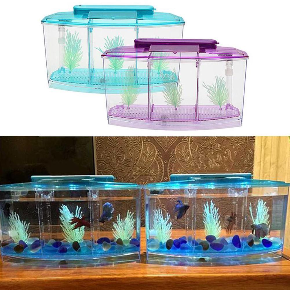 Betta Aquarium Fish Tank Box Separate Breeding Spawning Supplies Pet | eBay
