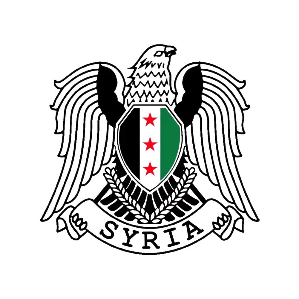 Syrian Assassin Logo At Least 15 People Killed In Israeli Strikes On