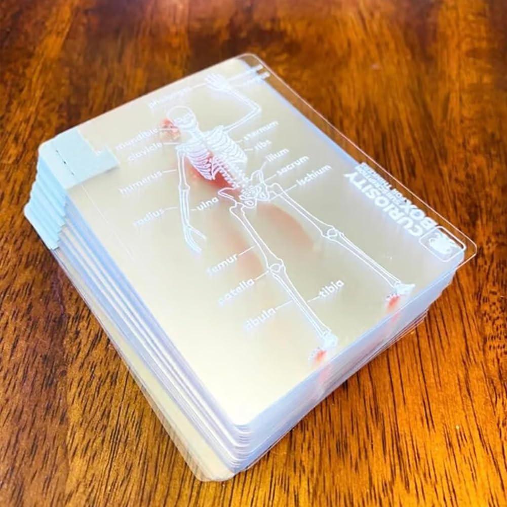 3D Skeleton Cards The Body Deck - Transparent Anatomy Playing Cards ...