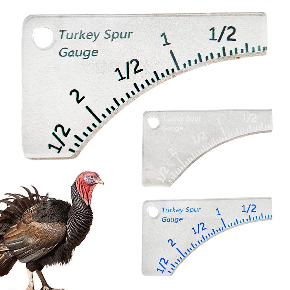 Wild Turkey Spur Gauge Measuring Tool For Hunting Wild Turkey Spur ...